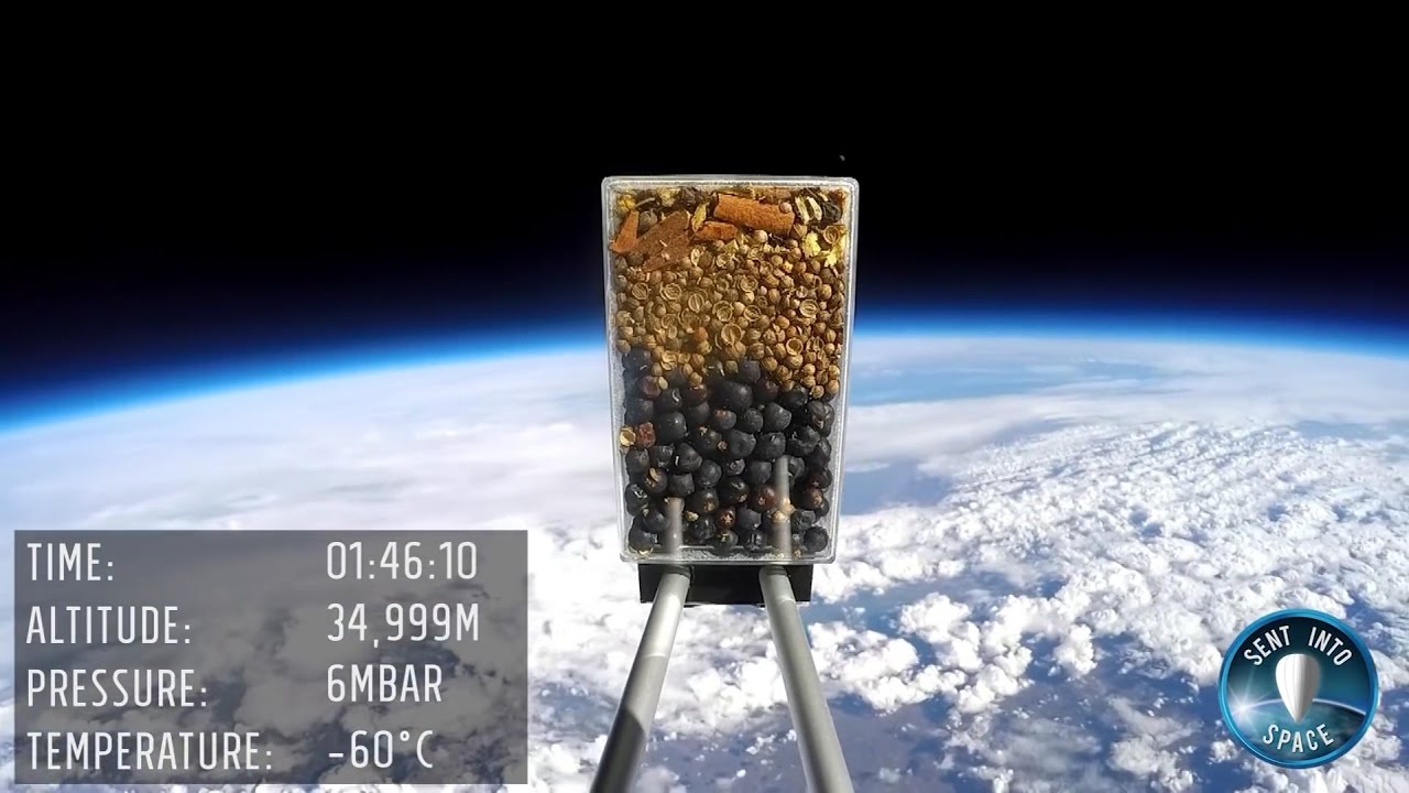 Moonshot gin, conheça o destilado que foi para o espaço