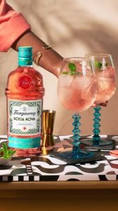 Tanqueray Bossa Nova é inspirado na Cidade Maravilhosa